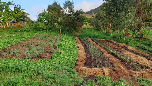 UPCOMING COURSES - BOOK NOW – RED SOIL ORGANICS
