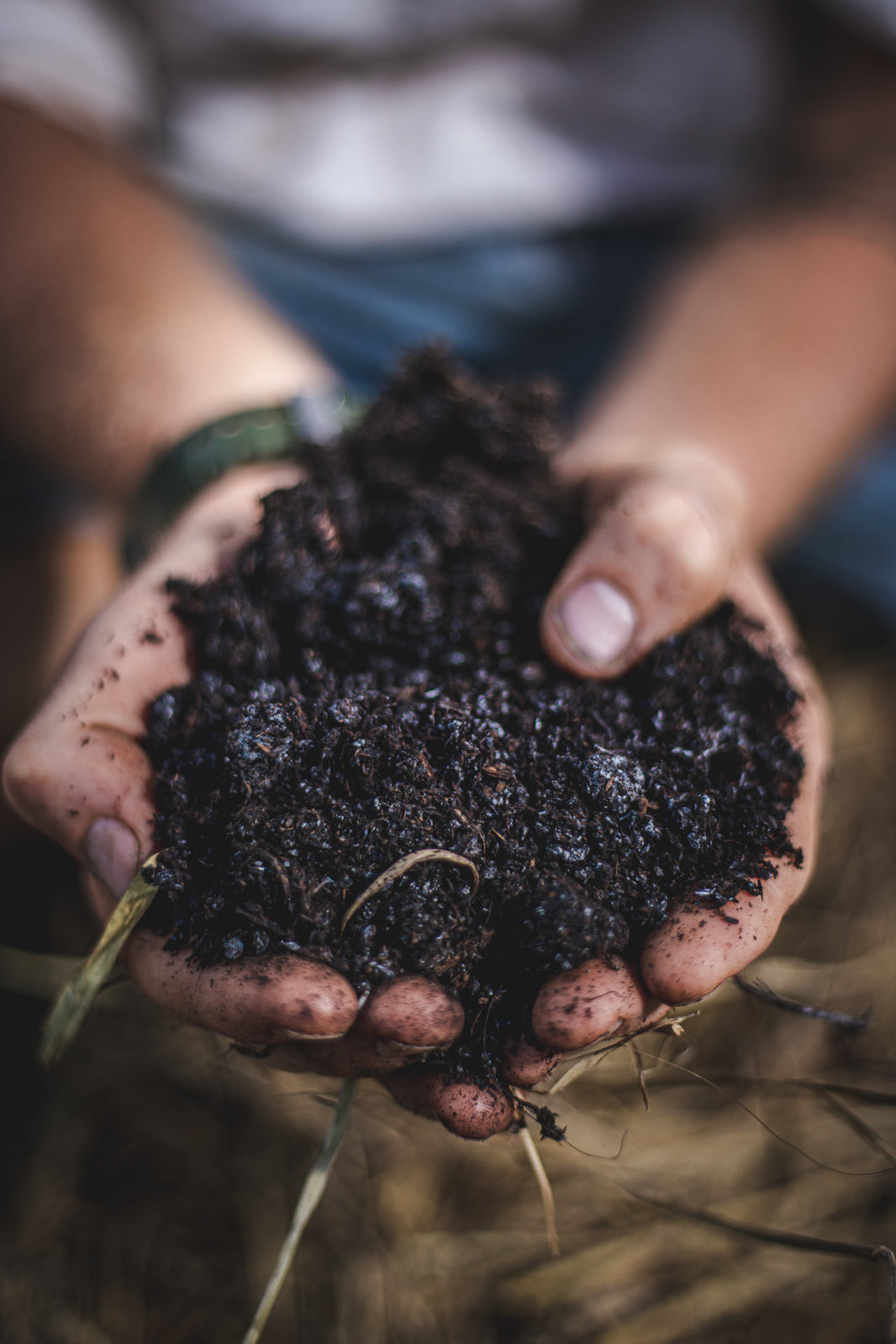 Products – RED SOIL ORGANICS